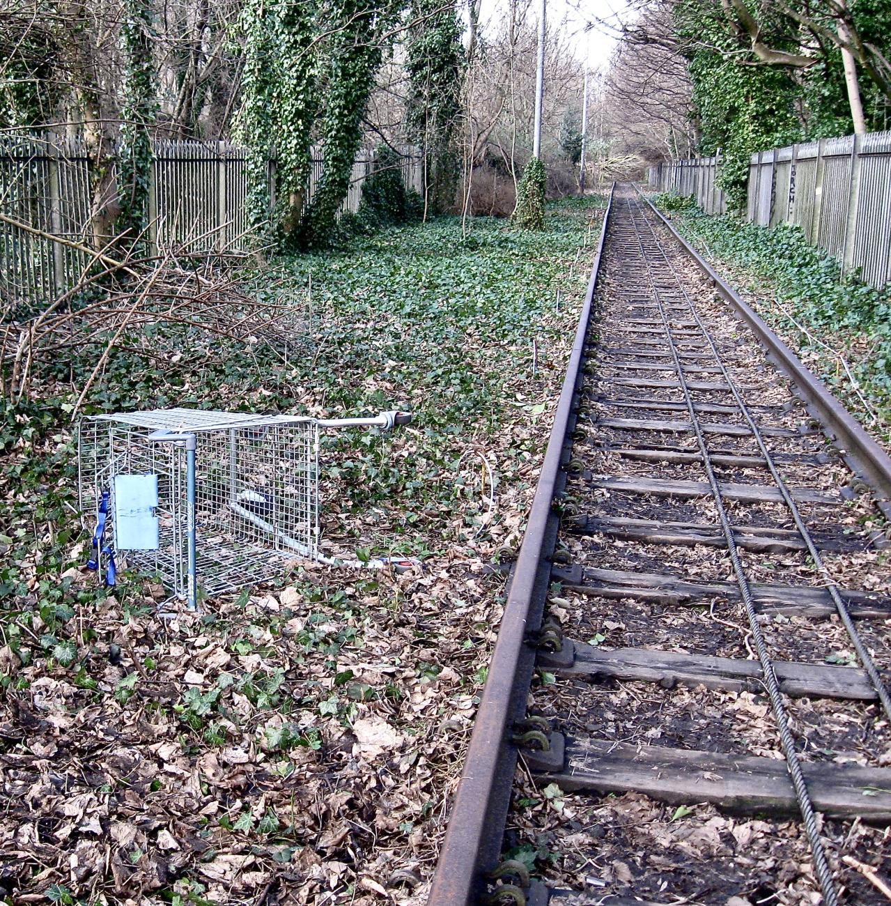POWDERHALL’S PATH OF POTENTIAL | Broughton Spurtle