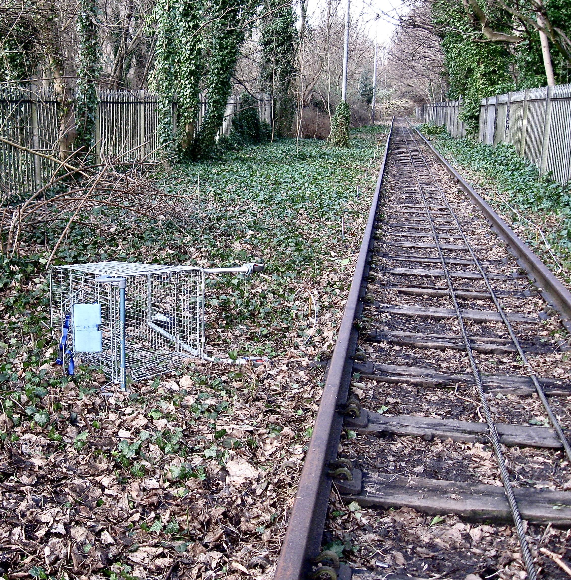 POWDERHALL’S PATH OF POTENTIAL | Broughton Spurtle