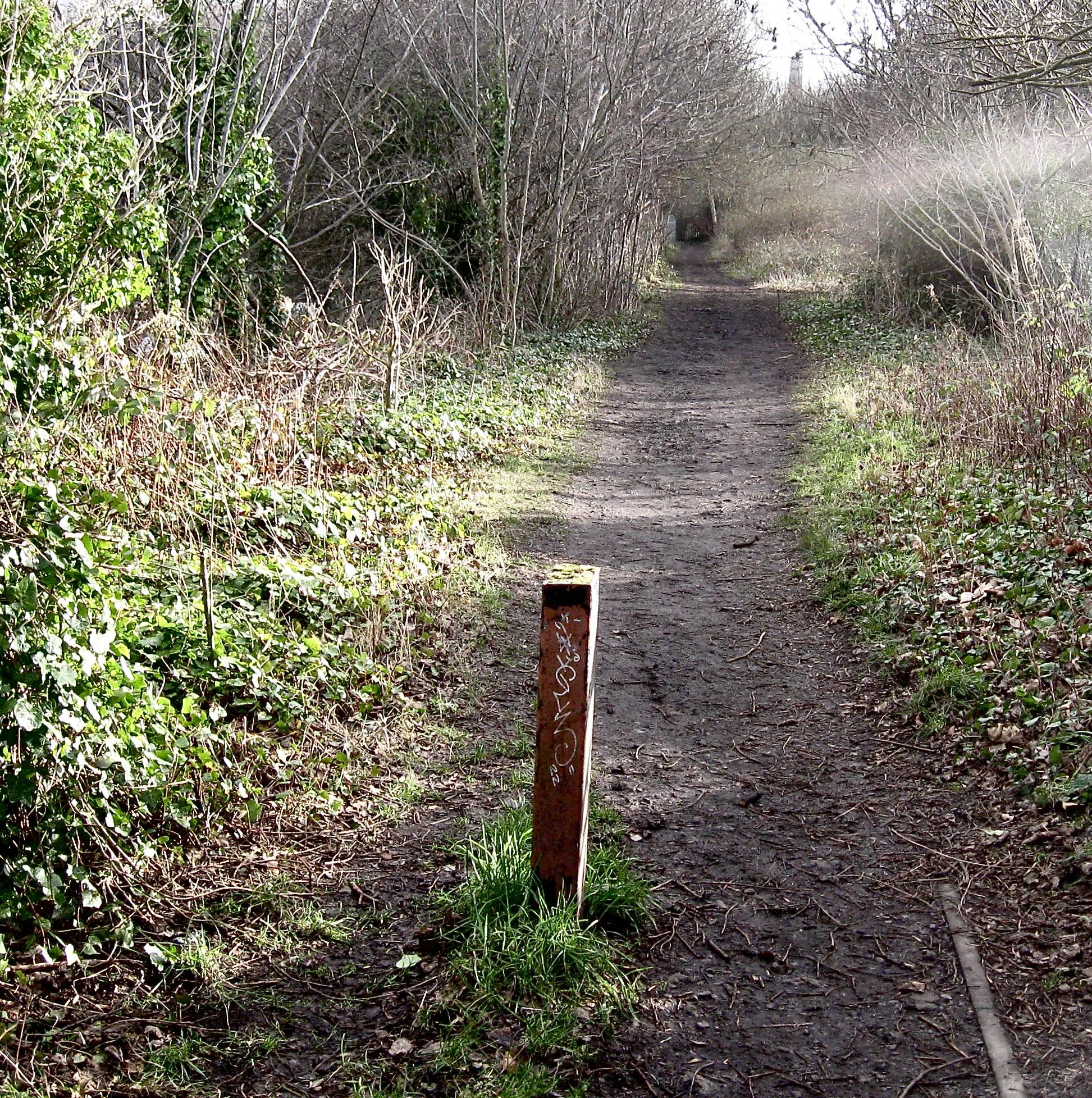 POWDERHALL’S PATH OF POTENTIAL | Broughton Spurtle