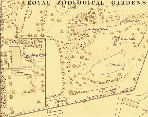 EDINBURGH AND THE BALD COCKATOO | Broughton Spurtle